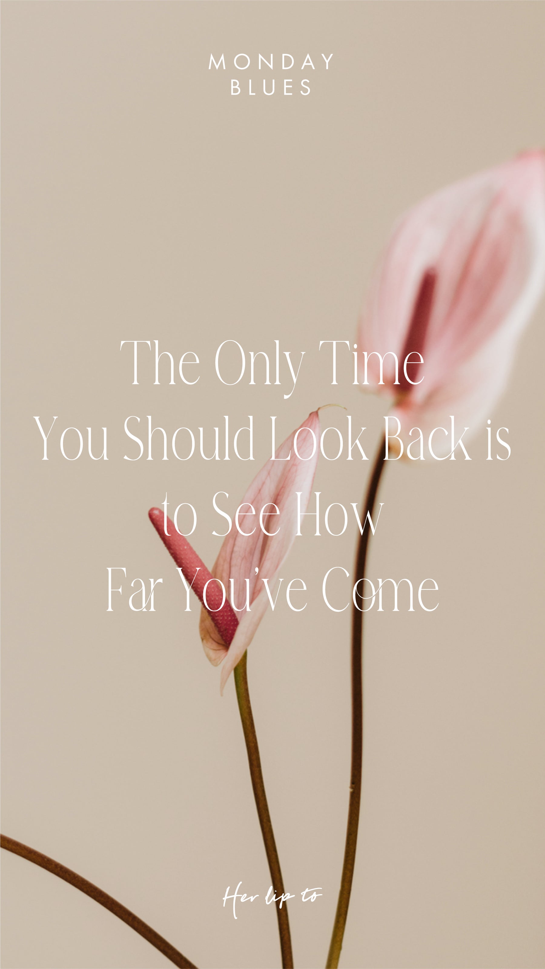 HLT BLACK DRESS CODE